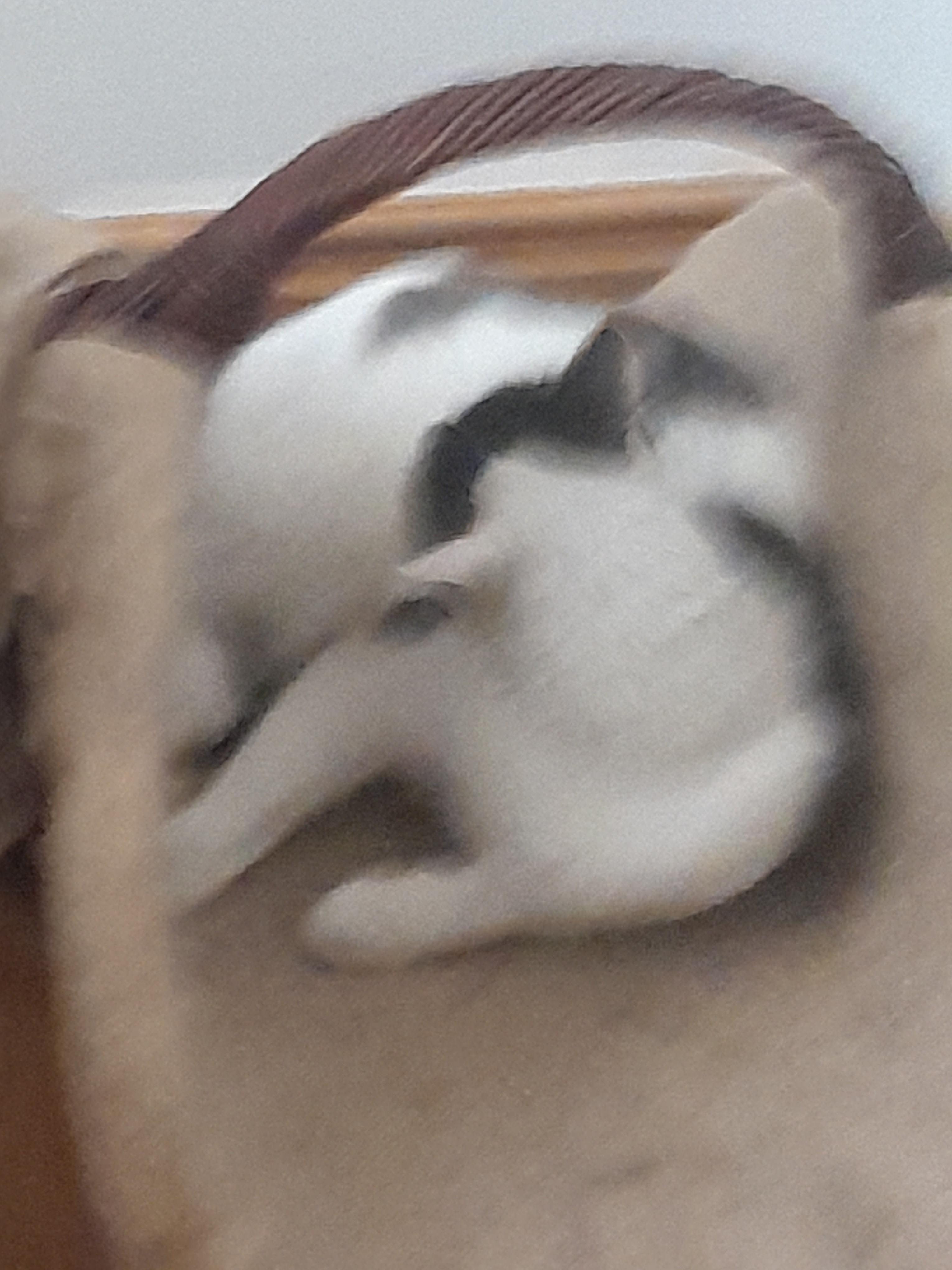 A couple cute pics of my cats | Scrolller