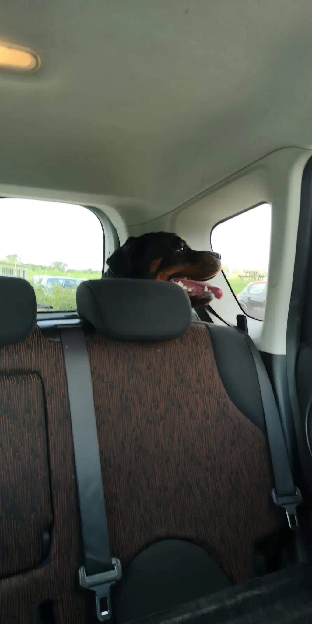 Happy Gotcha Anniversary | Scrolller