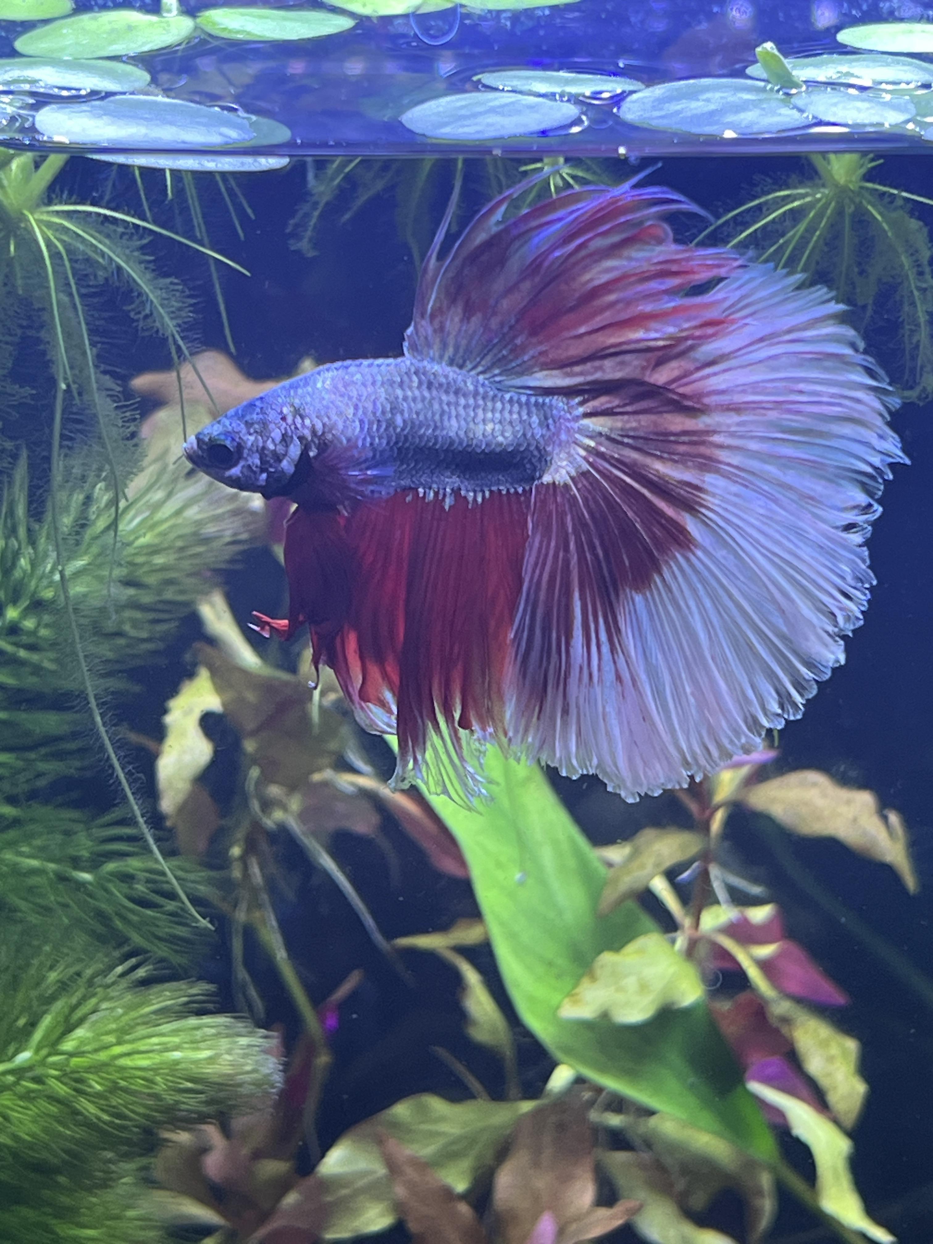 3 months of growth | Scrolller