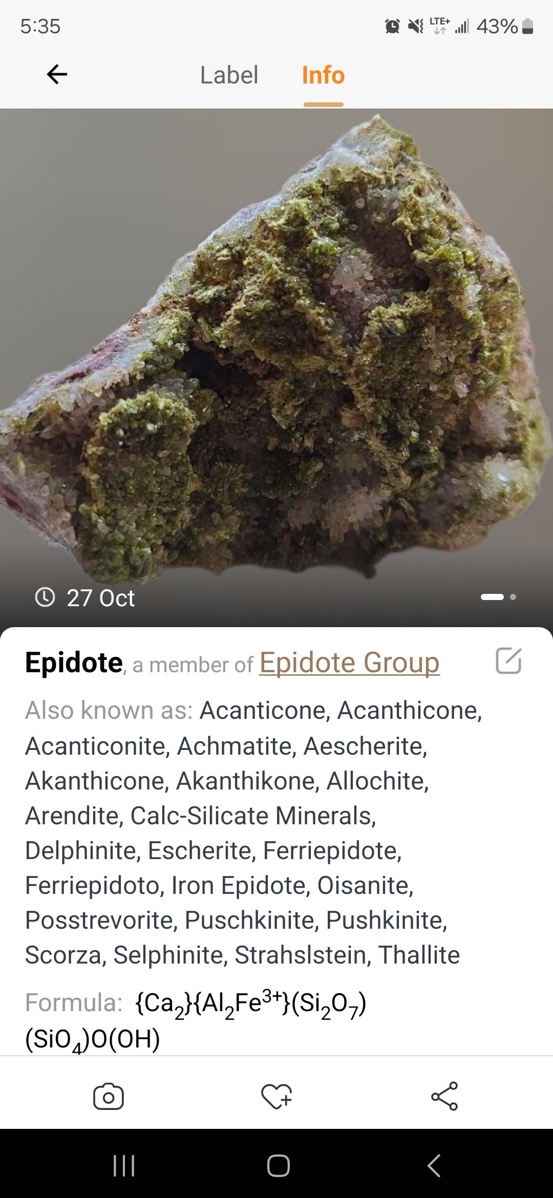 Is this ID correct ? | Scrolller