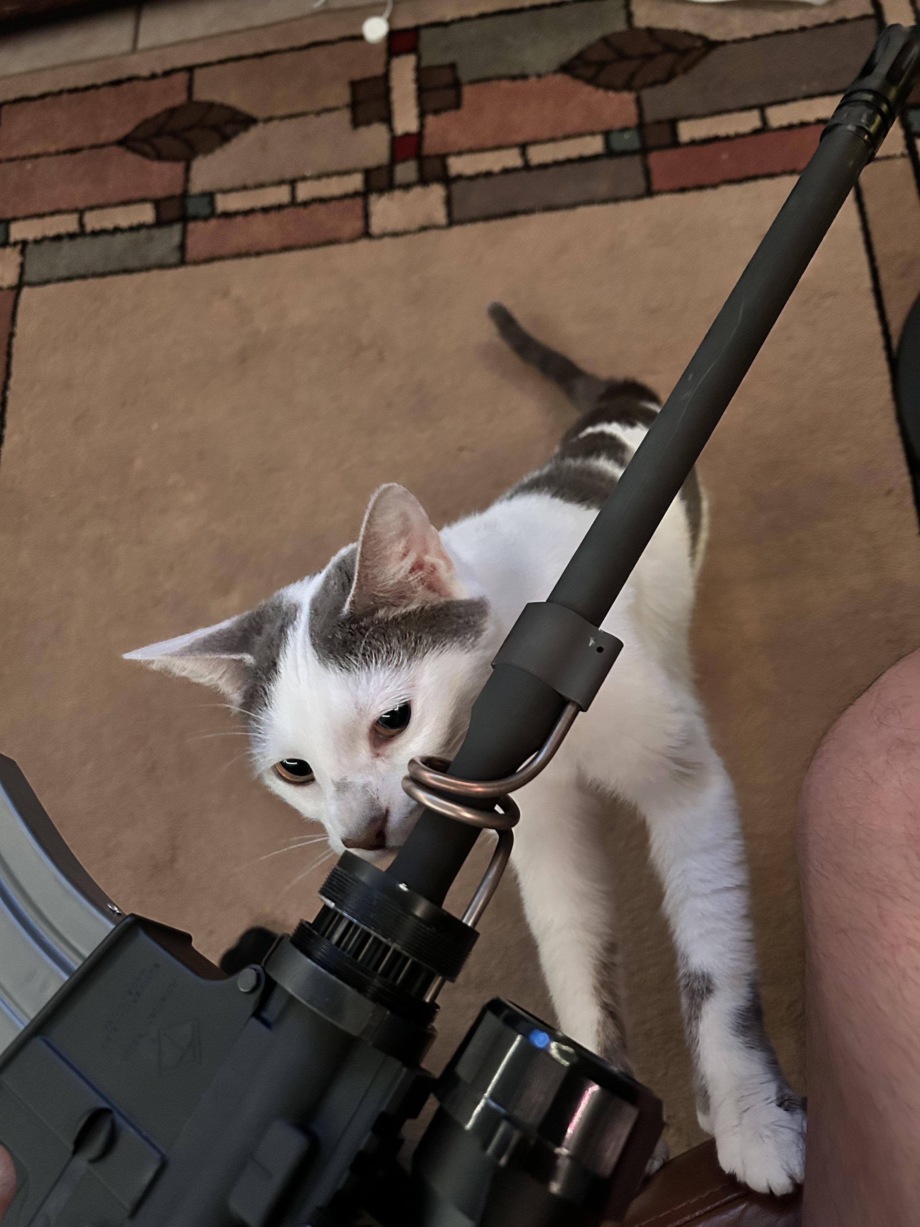 Weird gas tube | Scrolller