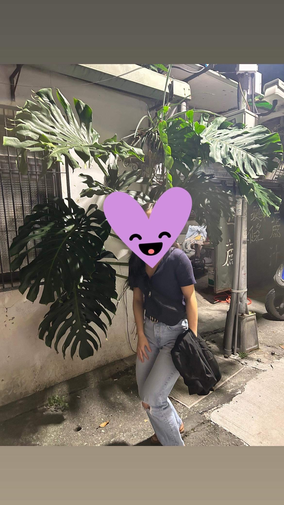 Monstera in alleyway of Taiwan | Scrolller