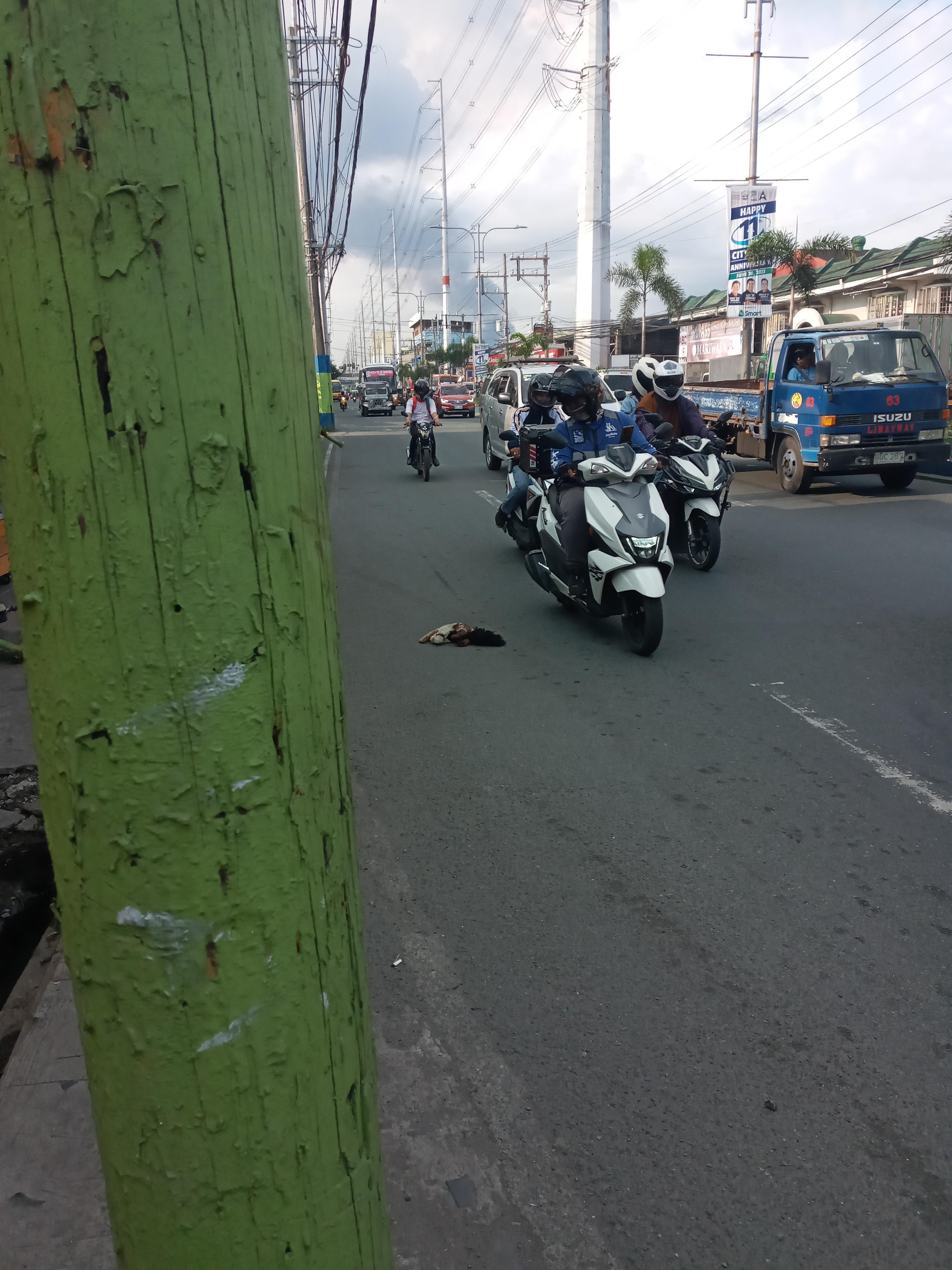 An abandoned plushie on a highway that looks like roadkill | Scrolller