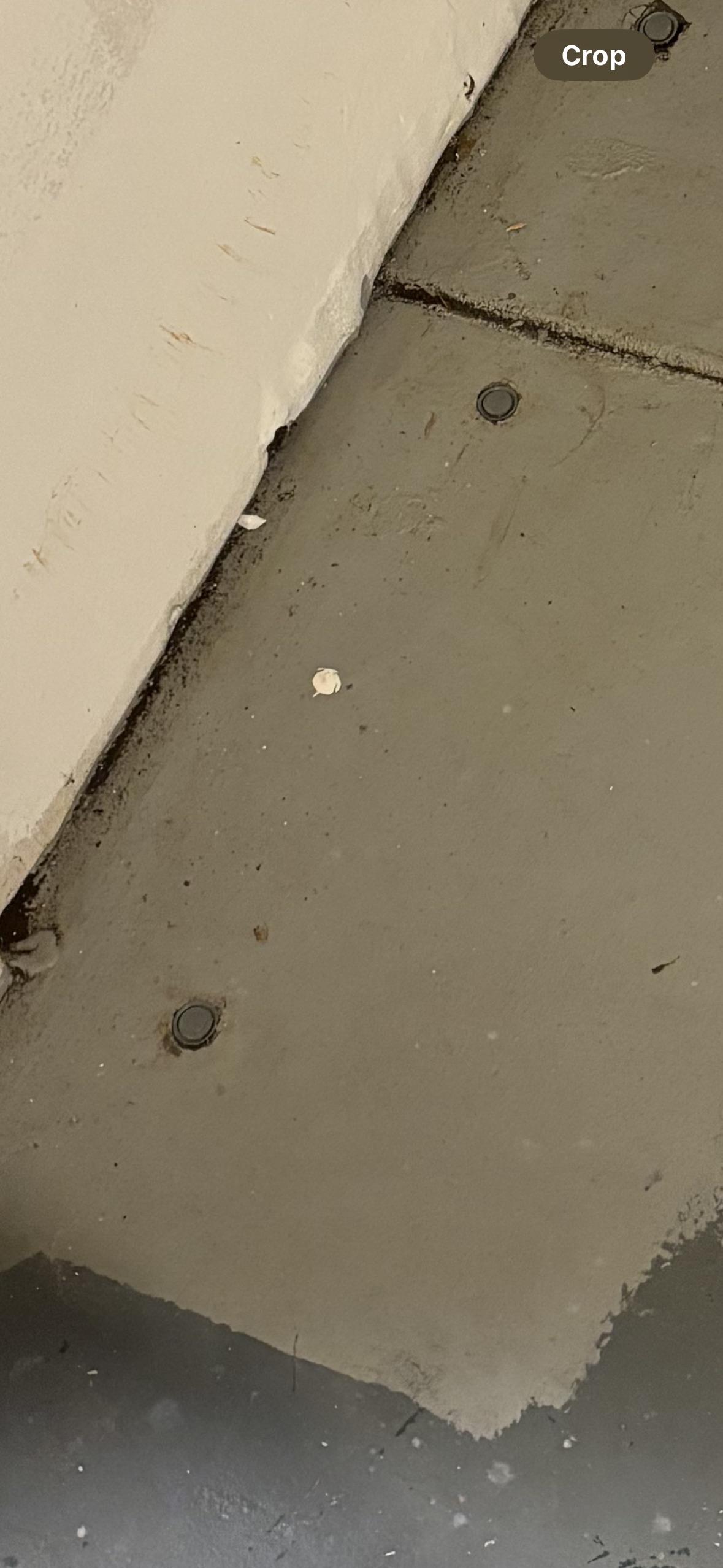 Basement pins | Scrolller