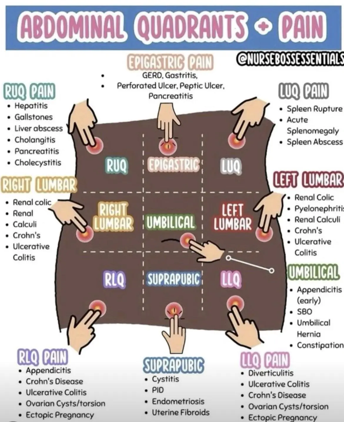A cool guide to what different areas of pain in the abdomen mean ...