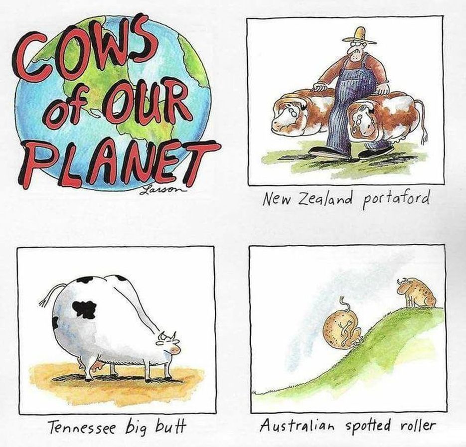 A Guide for Visitors | Scrolller