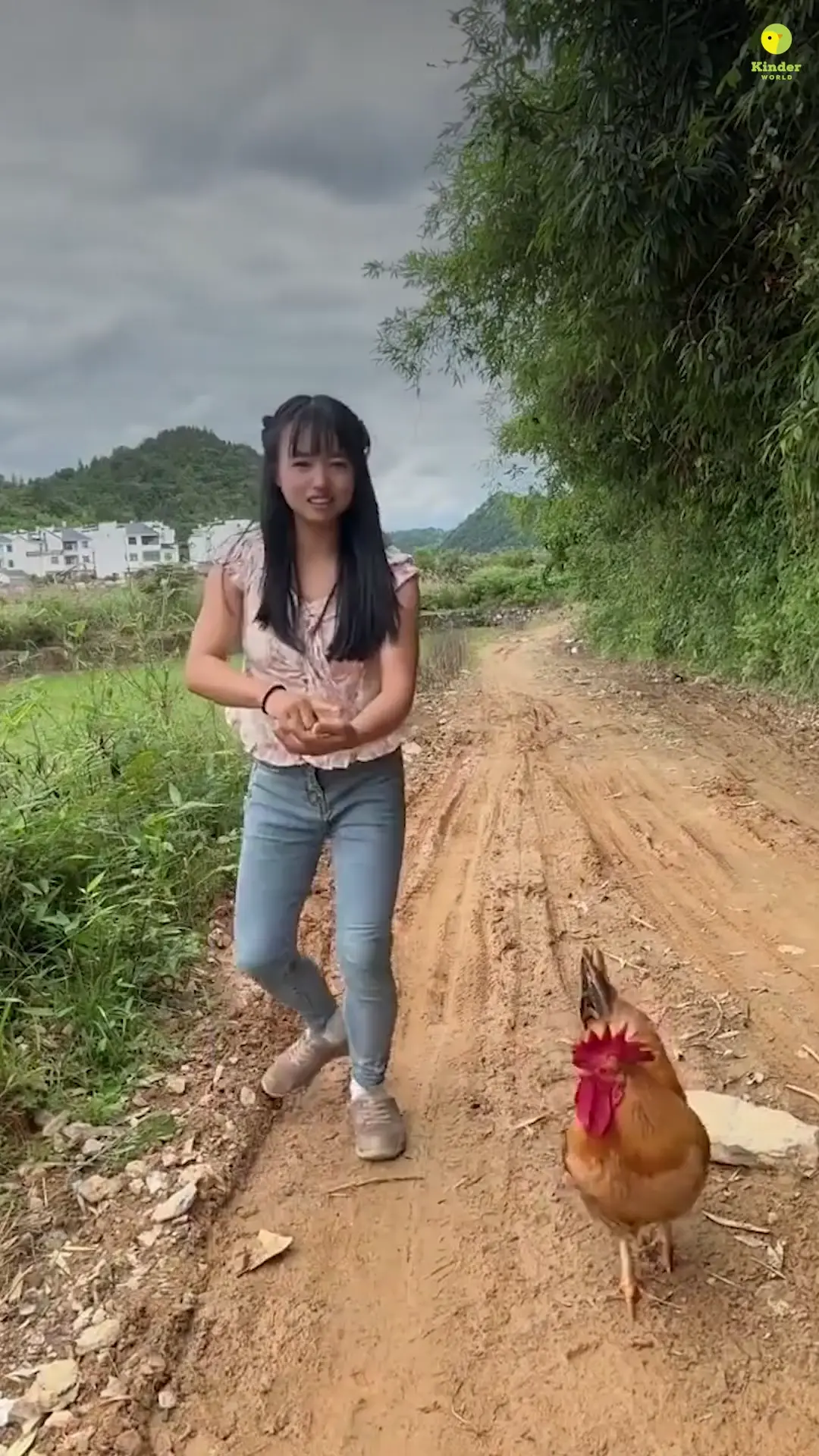 A love of chickens | Scrolller