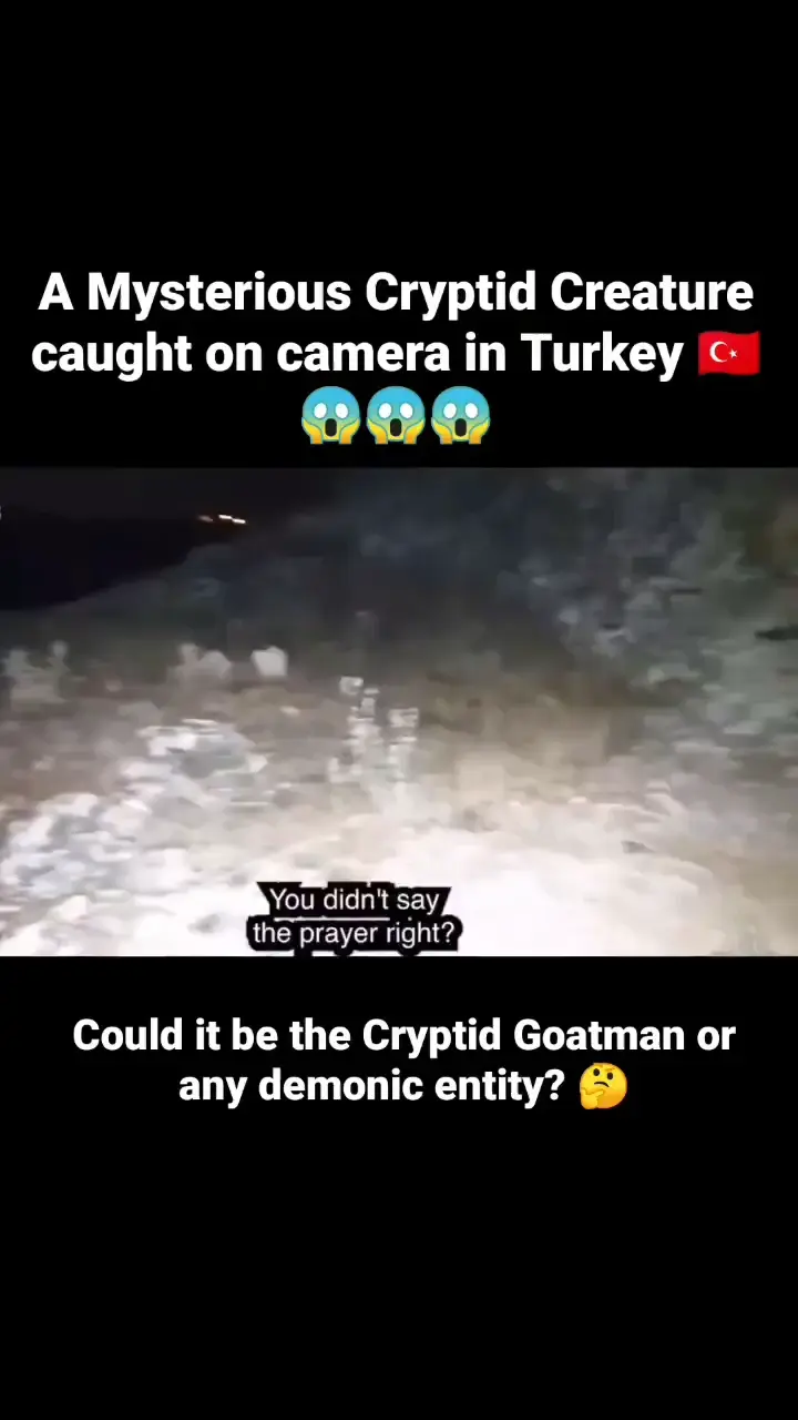 A Mysterious Cryptid Creature caught on camera | Scrolller