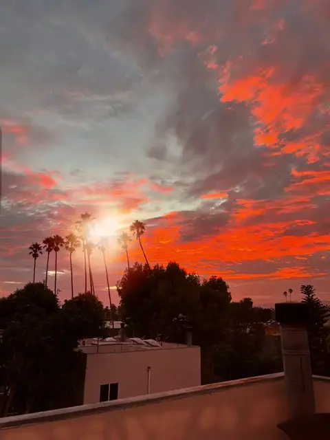 A roof with a view | Scrolller