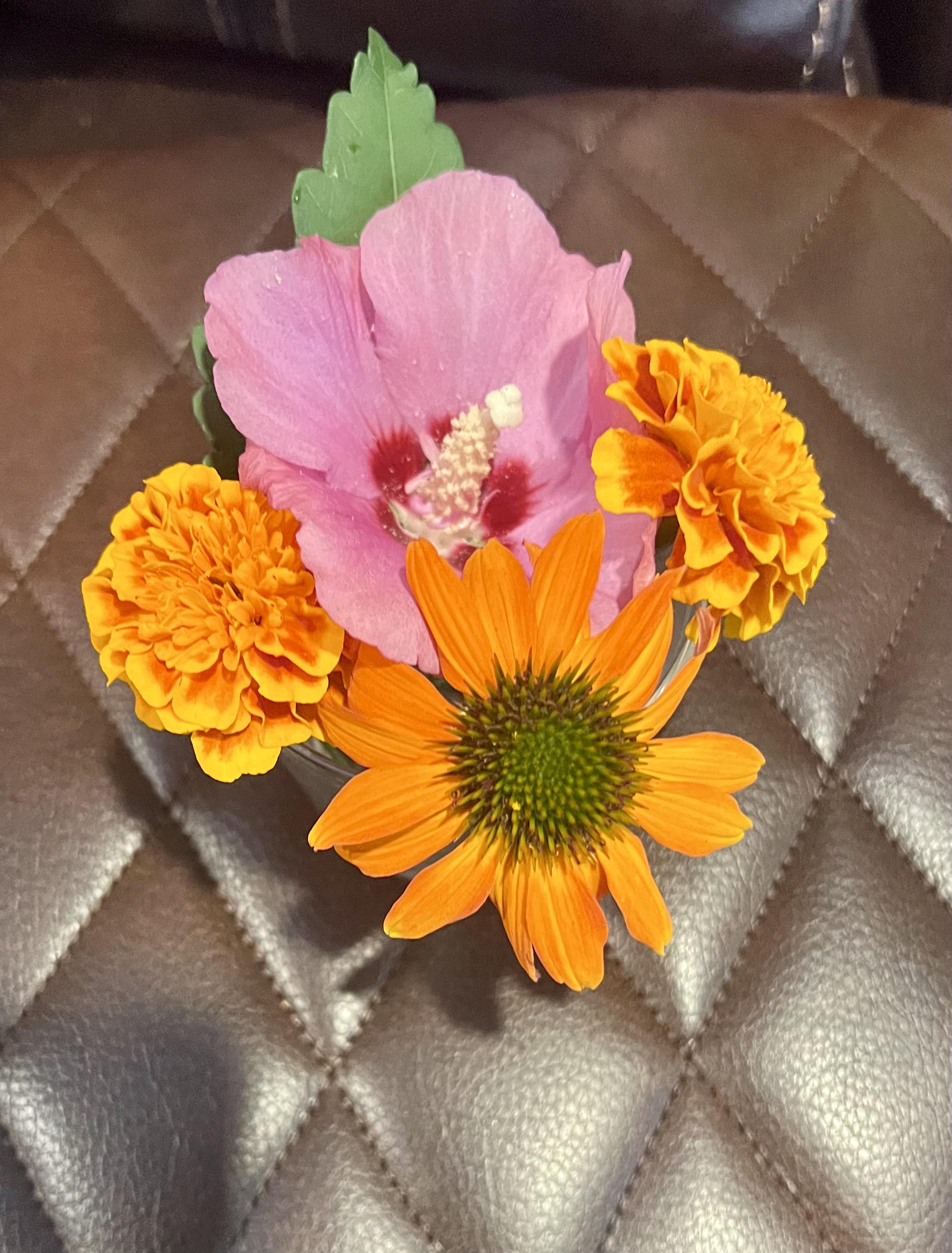 FatCocks | Pictures | Scrolller NSFW