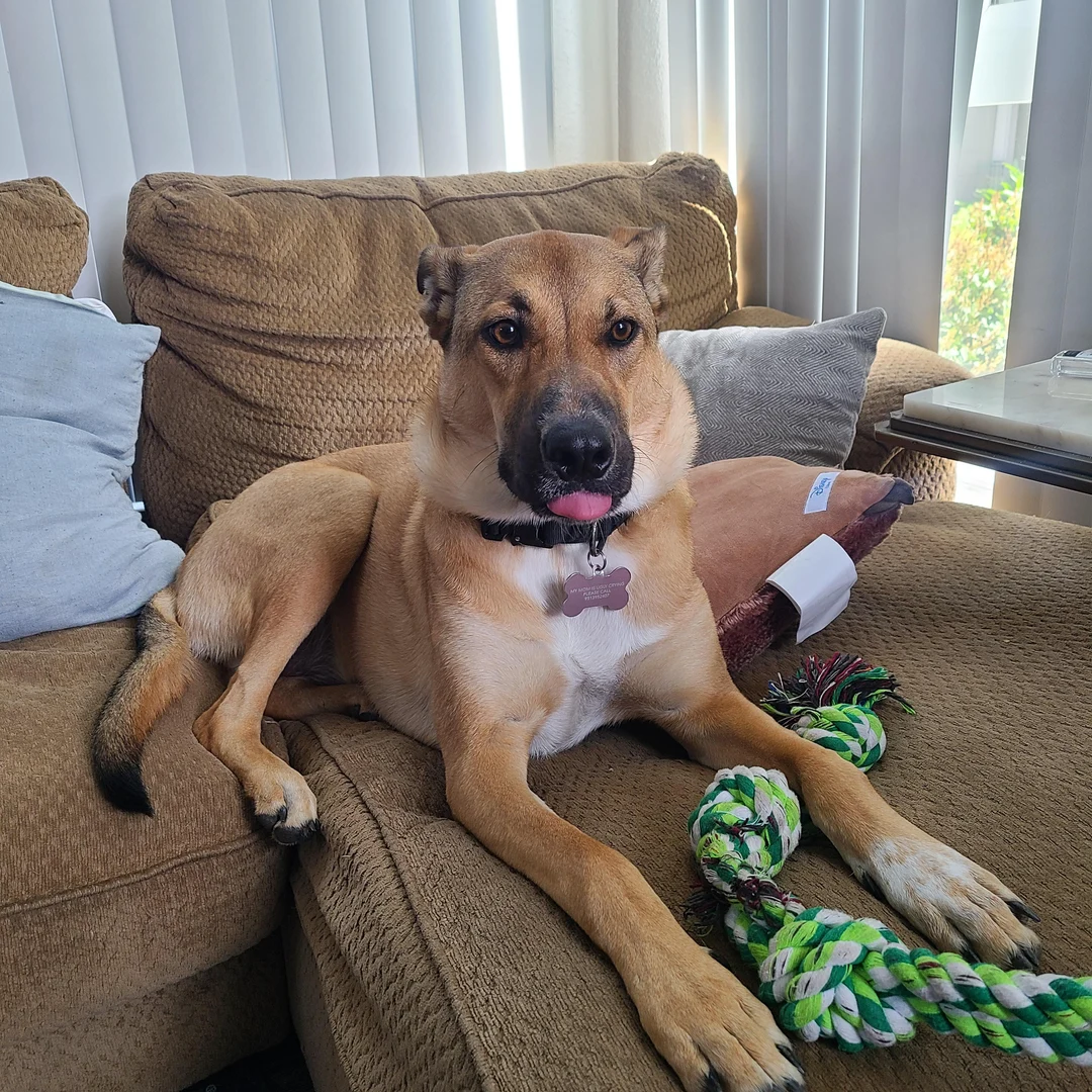 Chonky neck | Scrolller