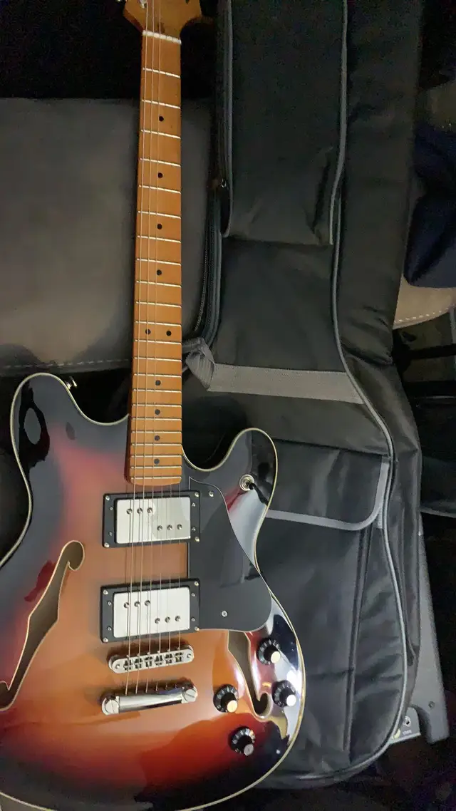 TEMU exceeded my expectations with this waterproof guitar bag! Fits my semi-hollow perfectly and ...