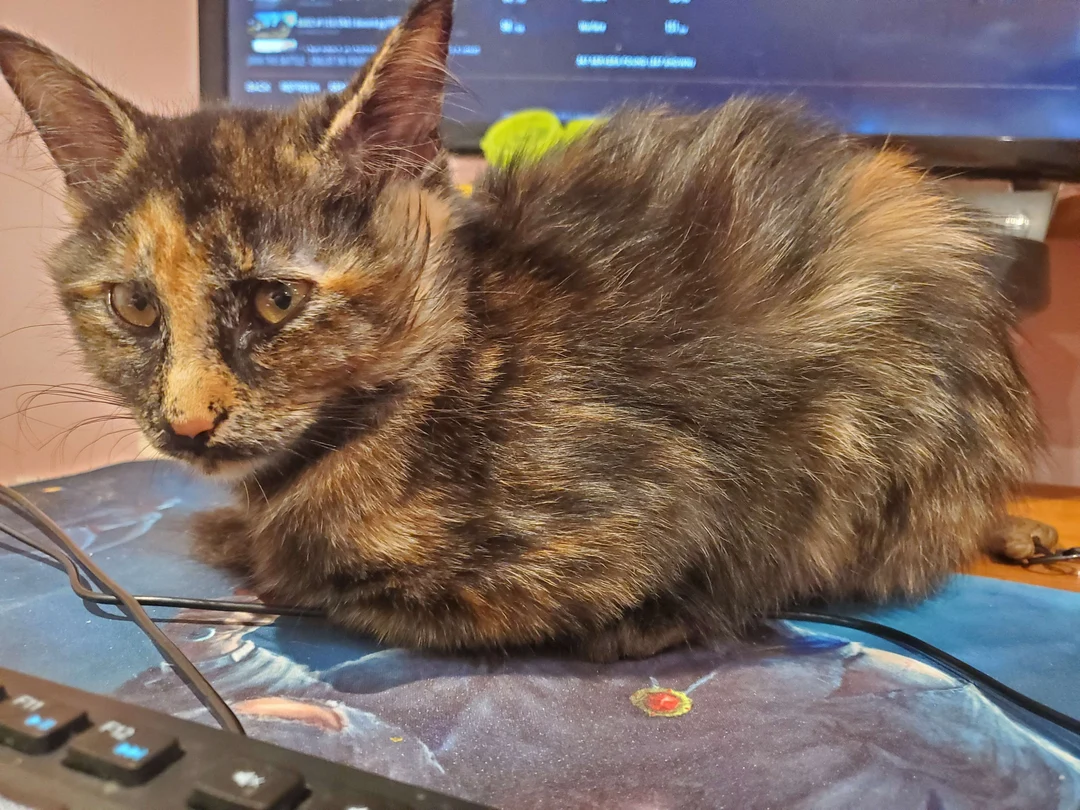 Compact Loaf! | Scrolller