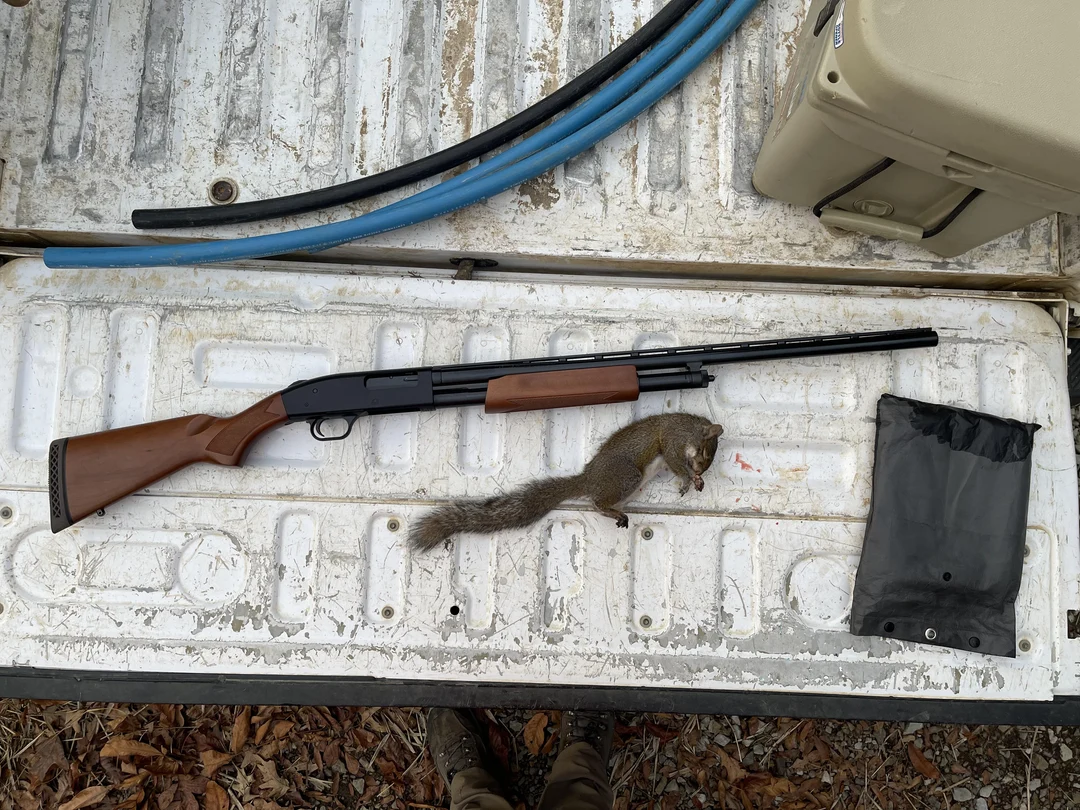 New shotgun, old pastimes | Scrolller