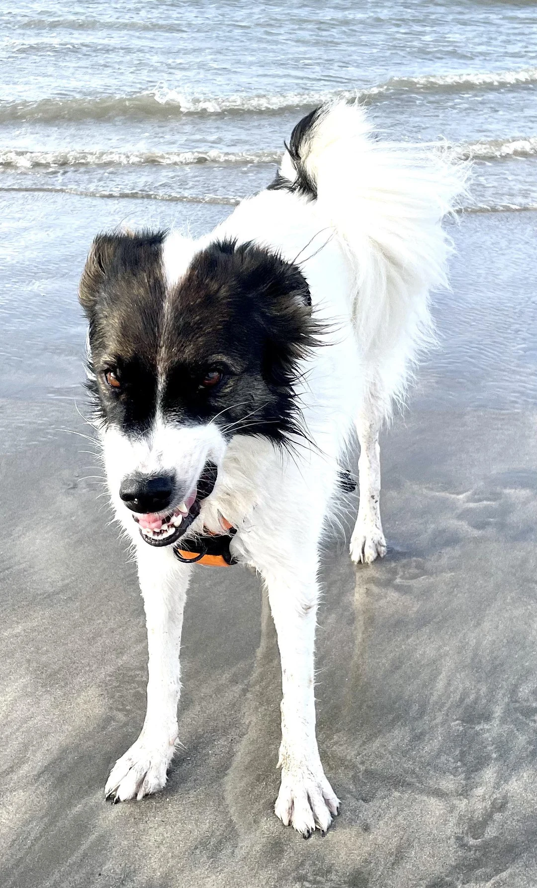 Tasted seawater for the first time turned into Satan | Scrolller