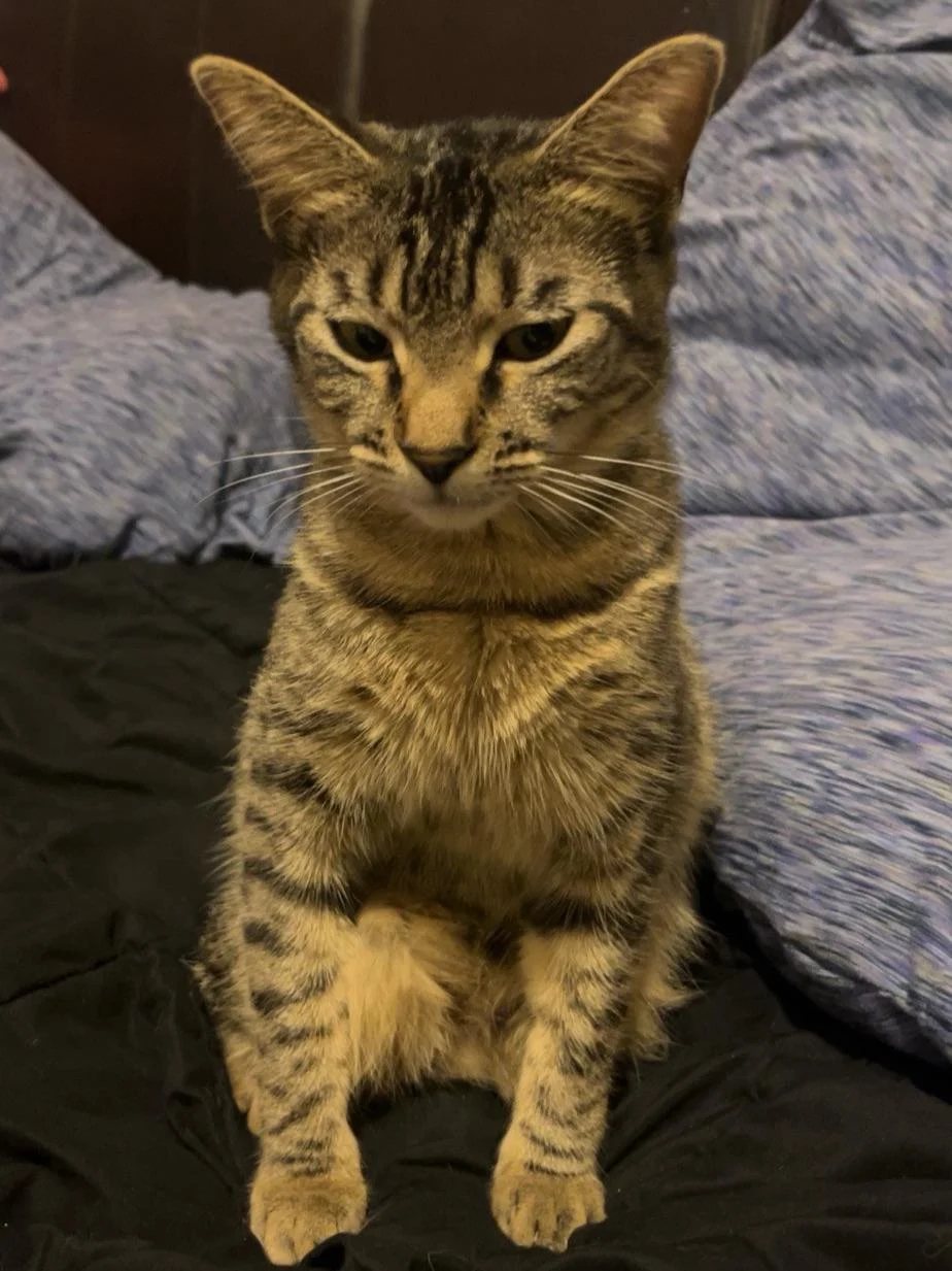 Contemplating | Scrolller