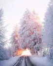 Winter Wonderland | Scrolller
