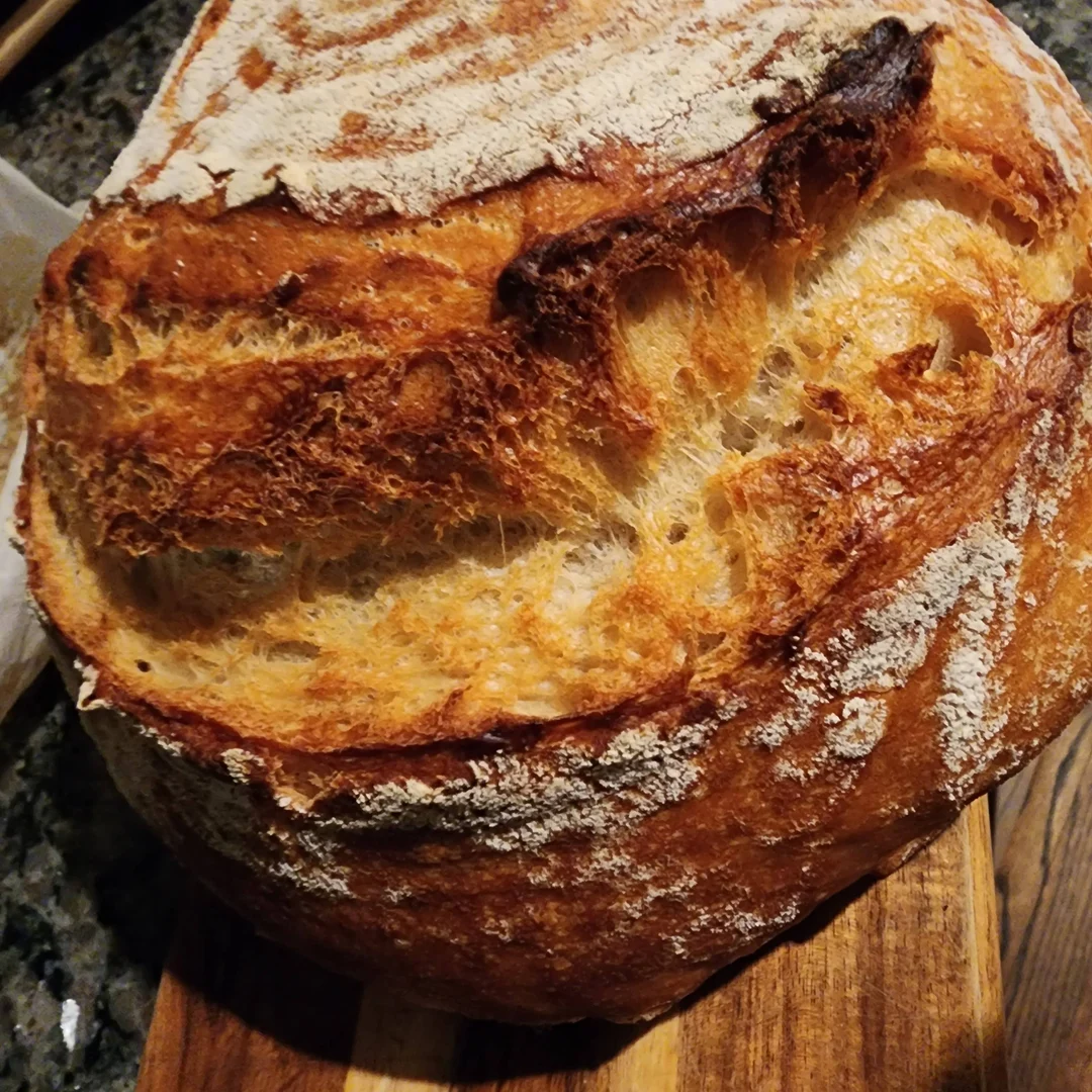 Ear that can hear. | Scrolller