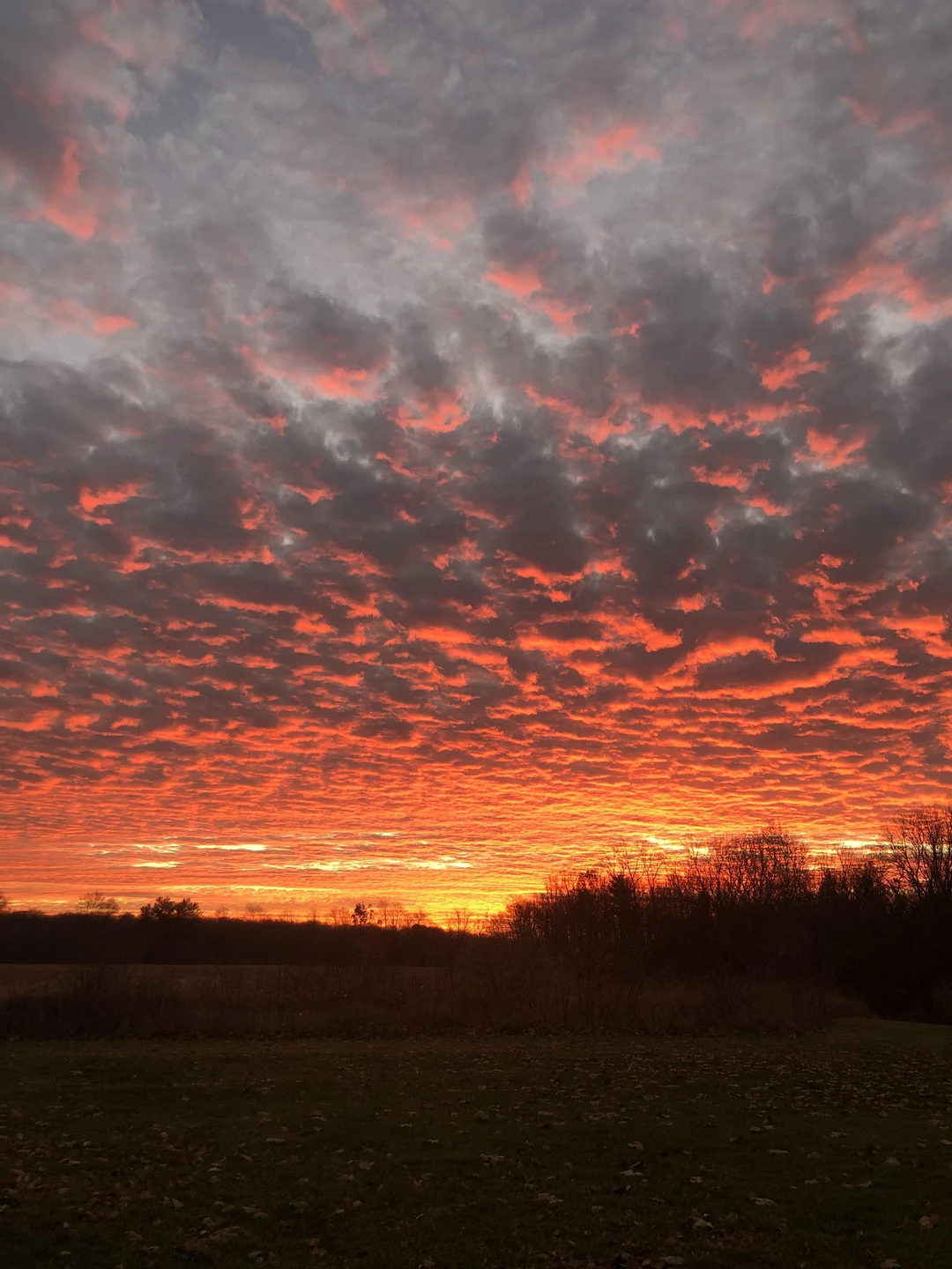Indiana sunrise. | Scrolller