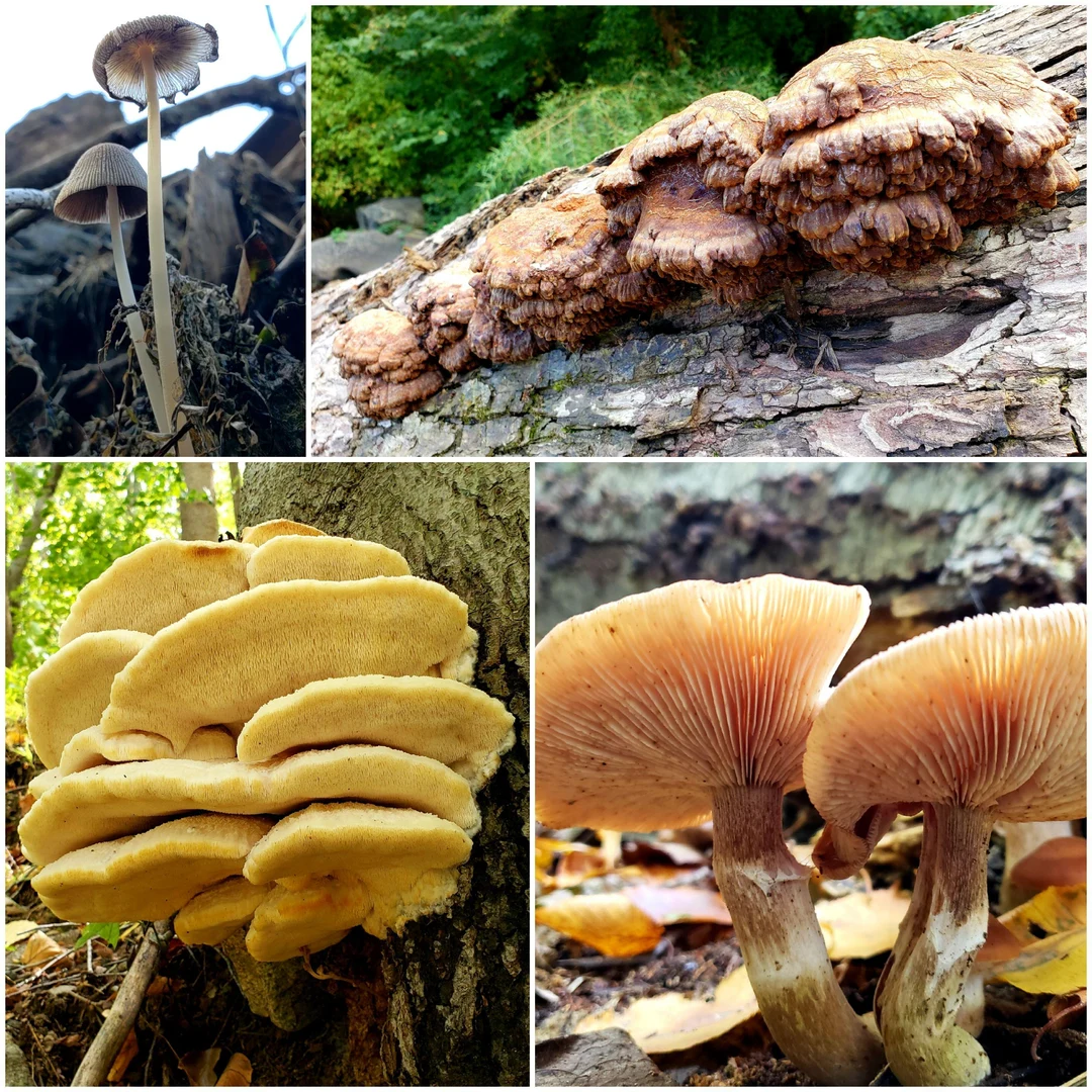 Today's finds. | Scrolller