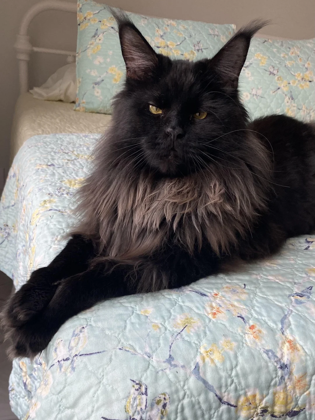 Hi everybody this is Toby :) | Scrolller