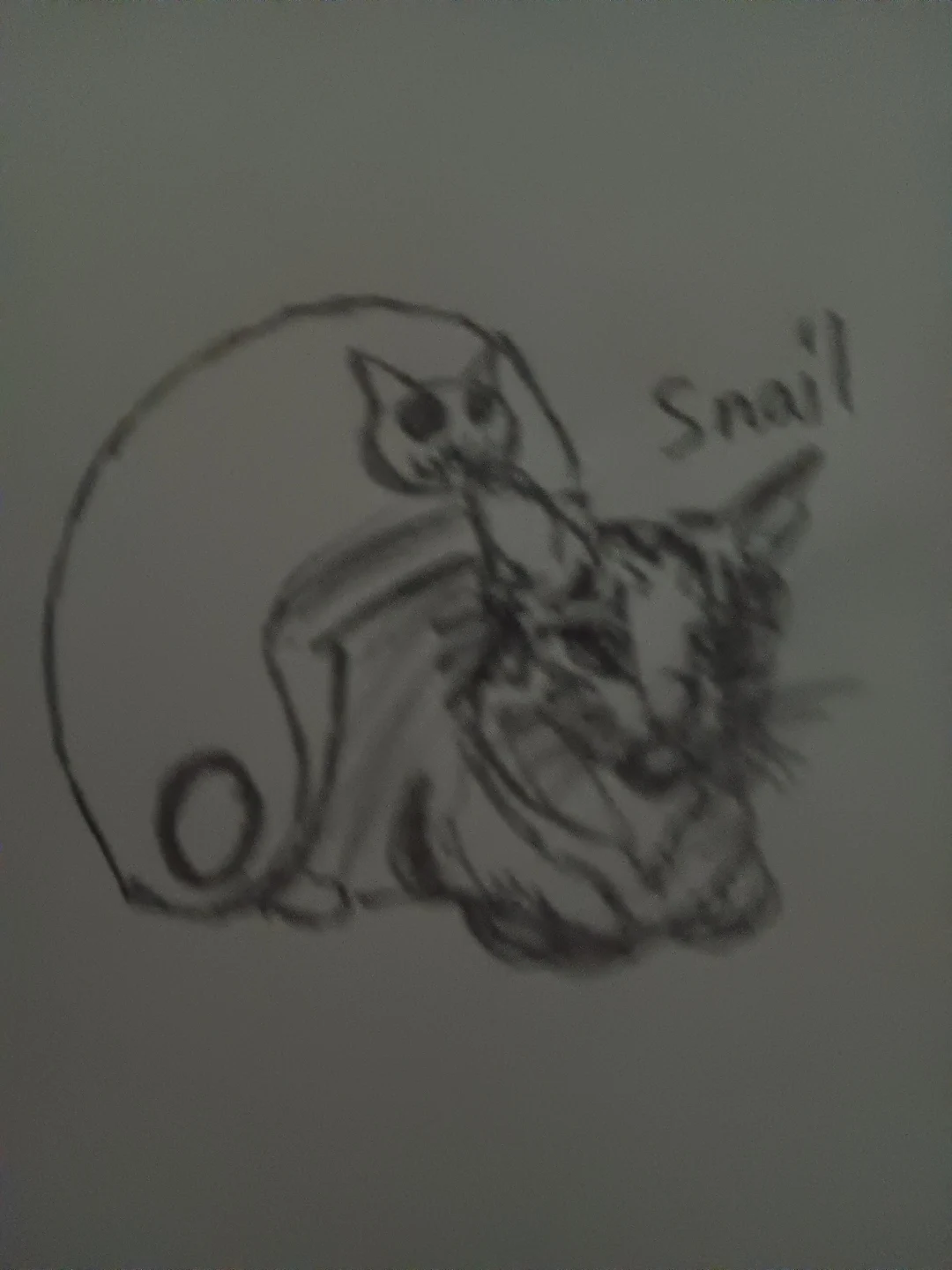 Snail | Scrolller