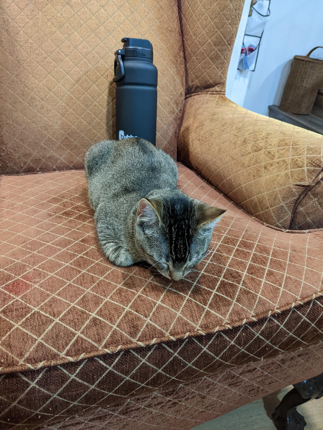 Sleepy loaf | Scrolller