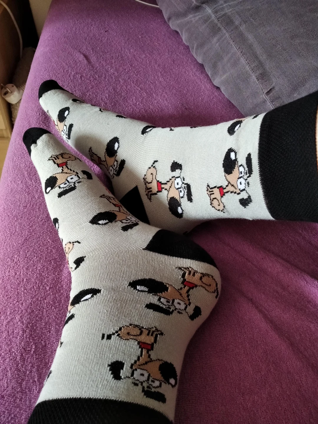 My happy dogs | Scrolller