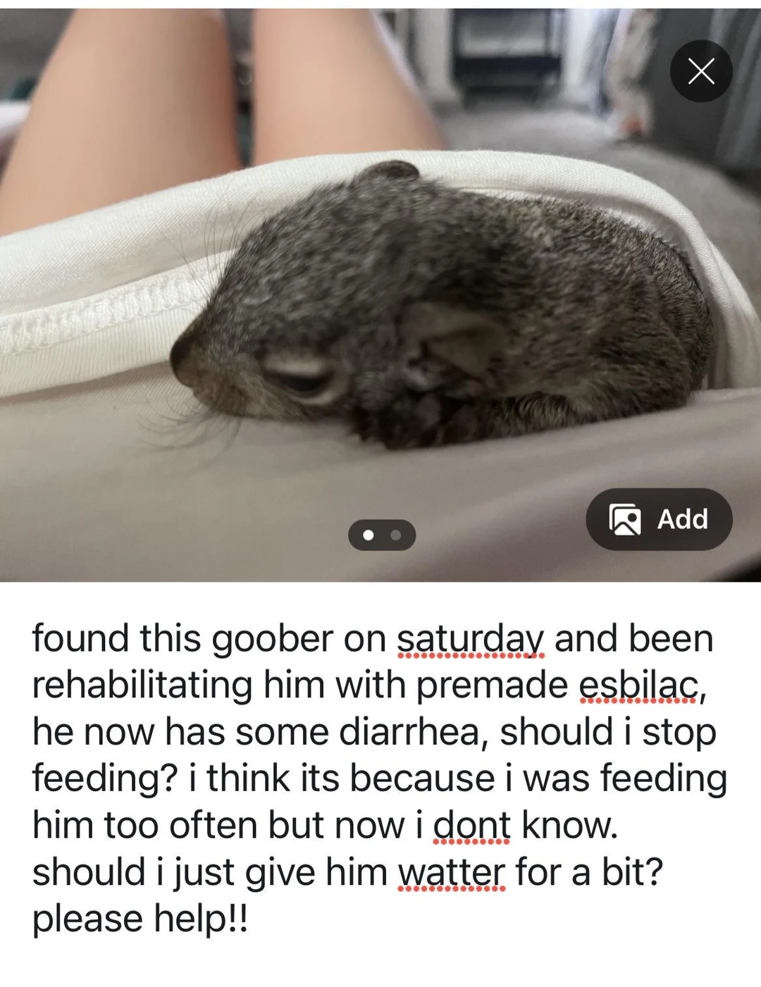 Discover more like Squirrels: help!! and Related Content | Scrolller