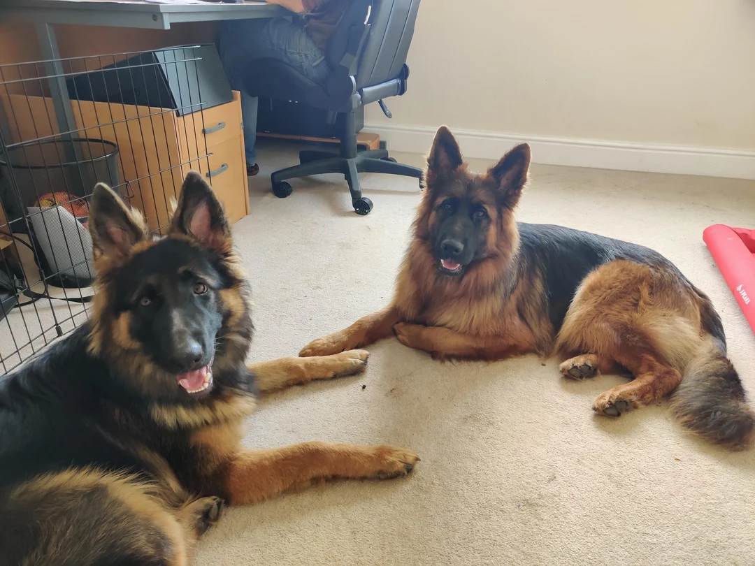 My two smiley girls | Scrolller