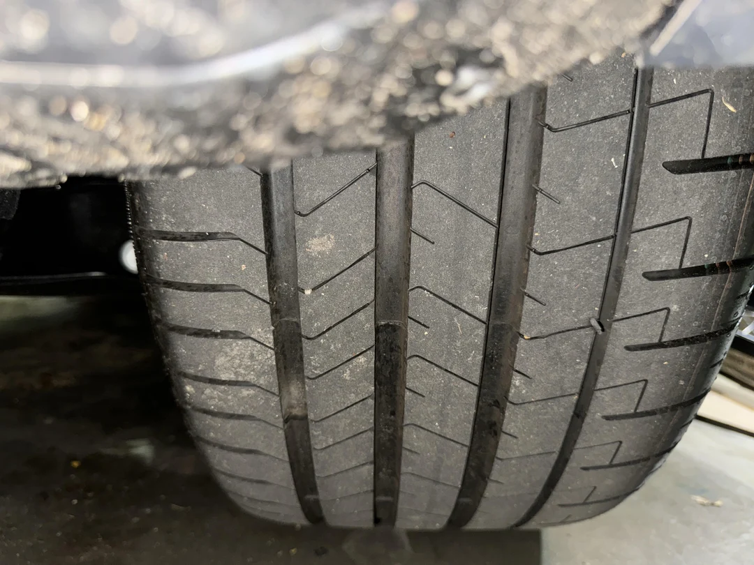 Does this look normal? | Scrolller