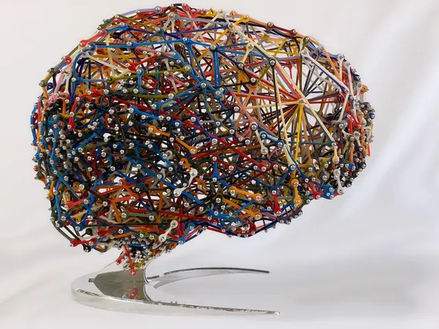 Brain in Time, AvRaam, sculpture, 2018 | Scrolller