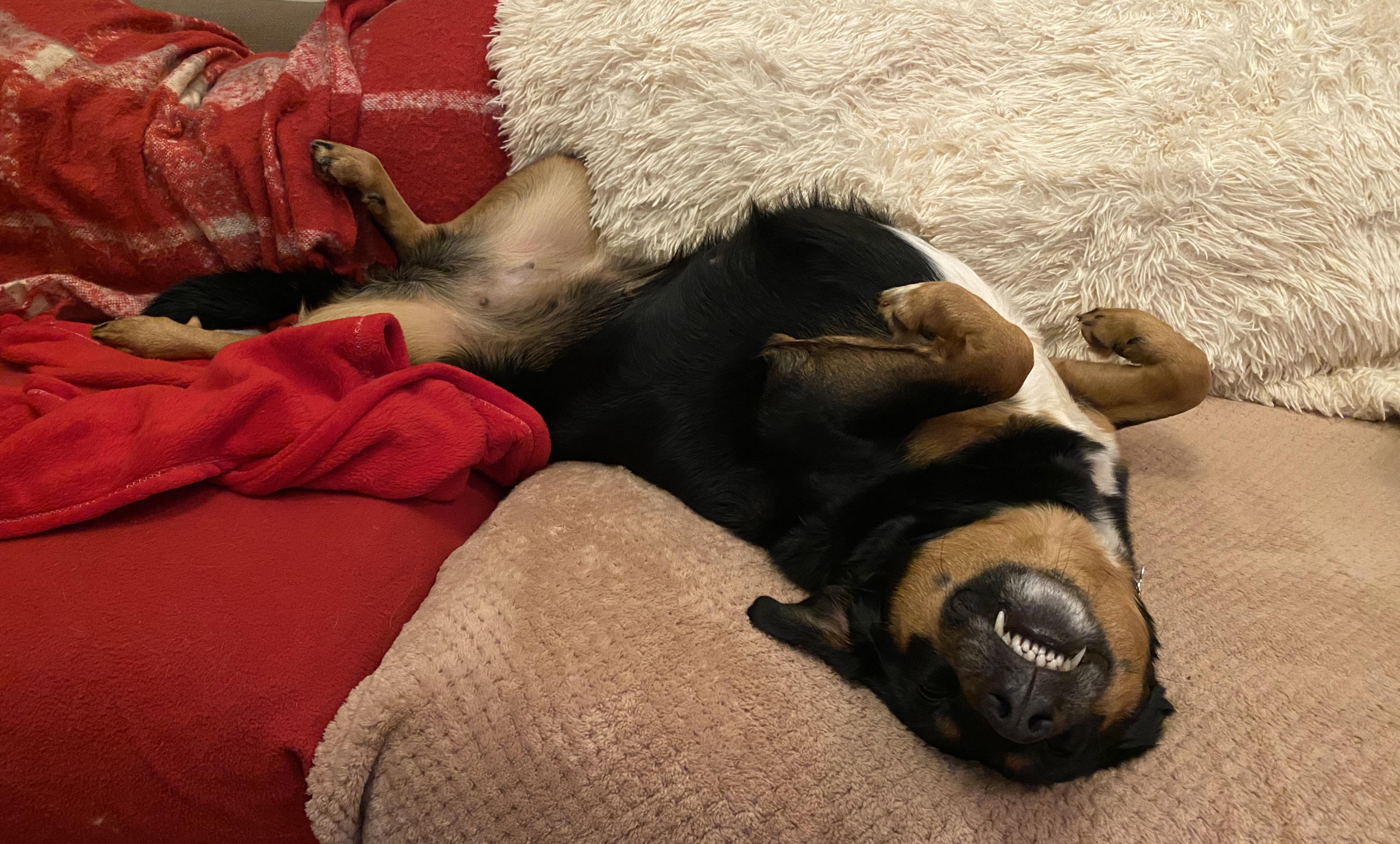 Wow, Ruby…. | Scrolller