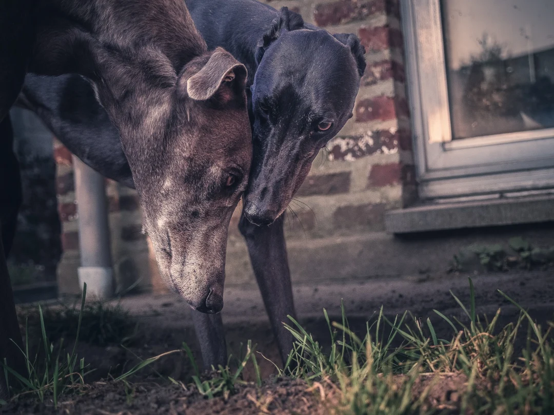 Brotherly love ☺️ | Scrolller