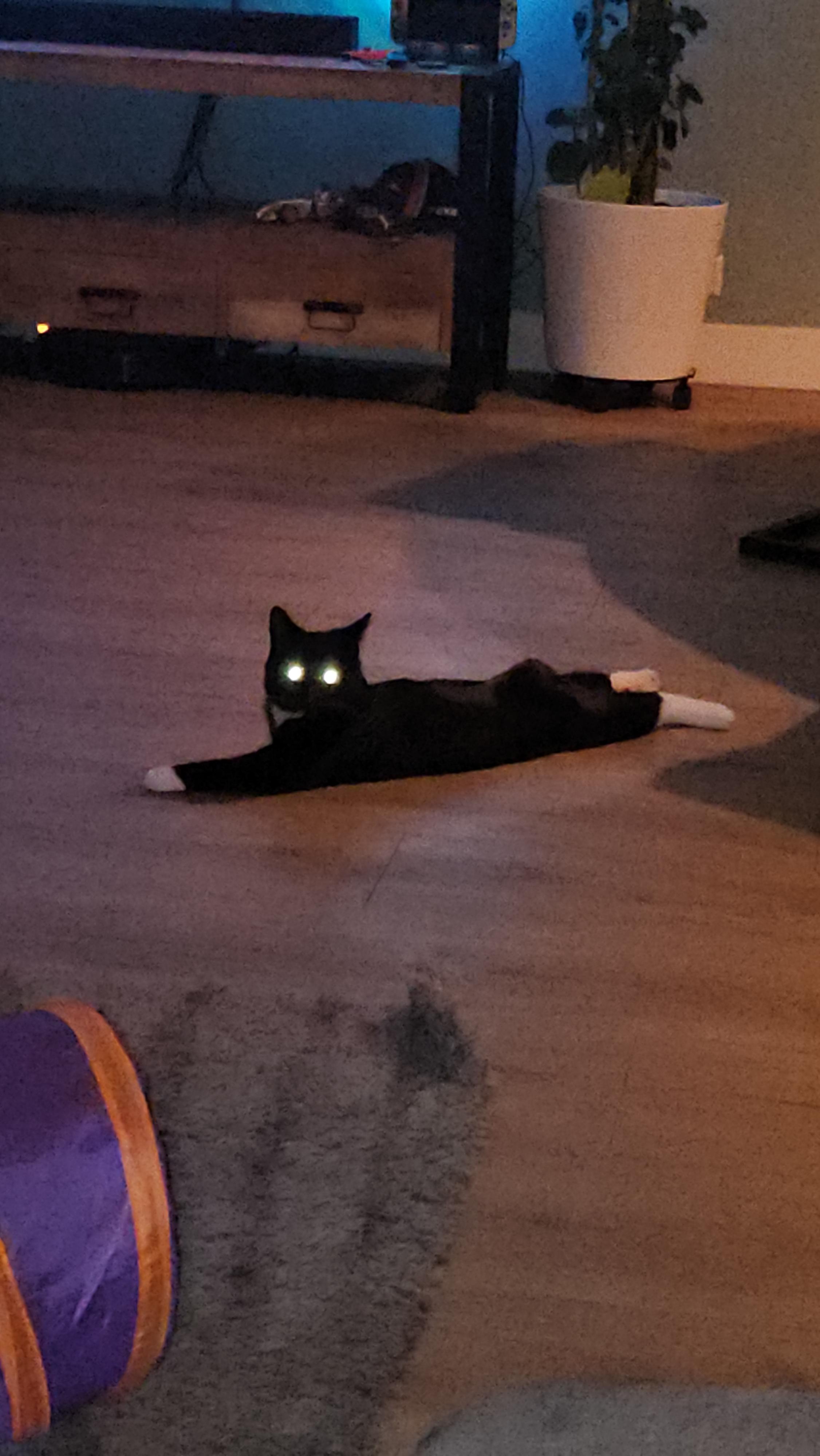 Lazer sploot | Scrolller