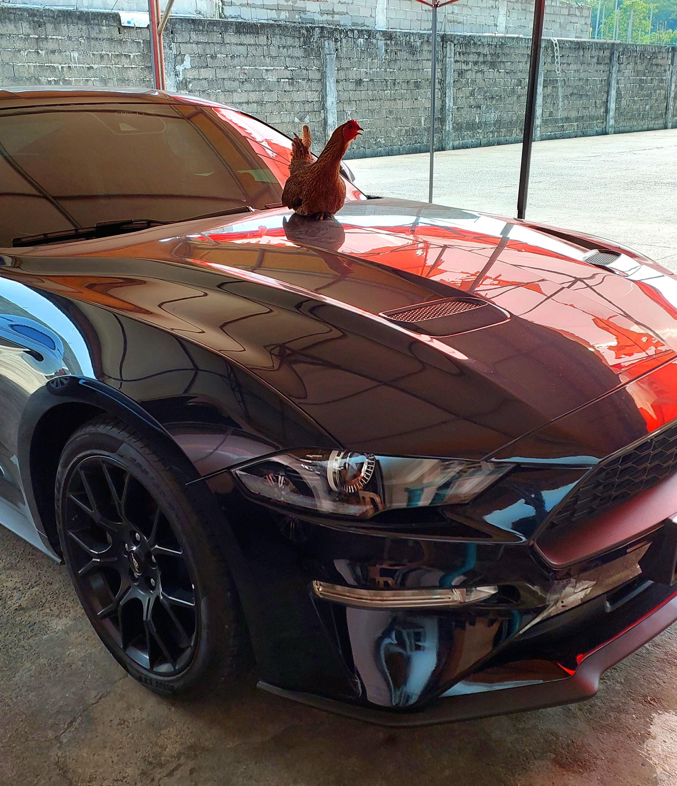 Approach with caution | Scrolller