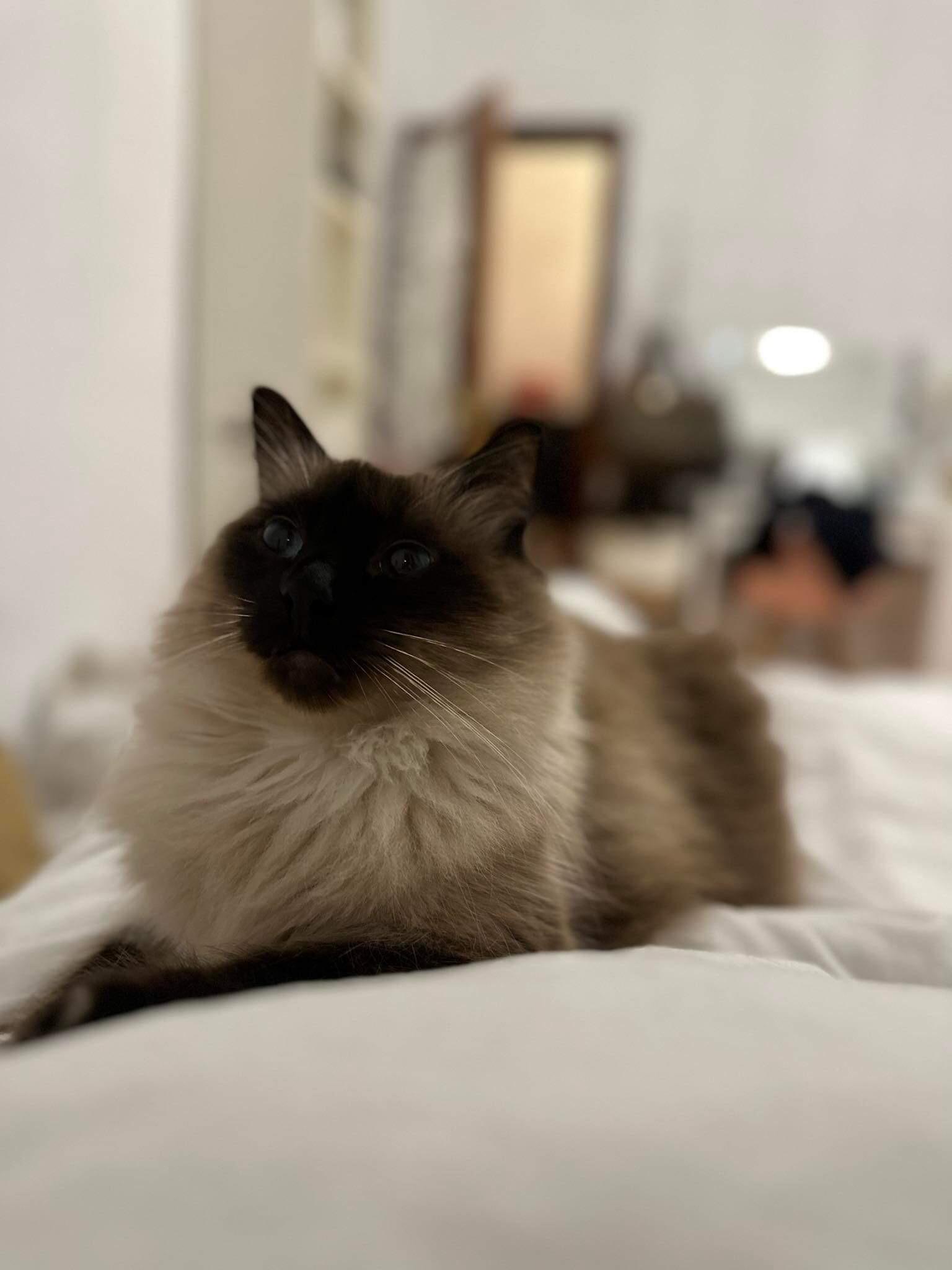 Kinder's bougie, but he's a downright stud. | Scrolller