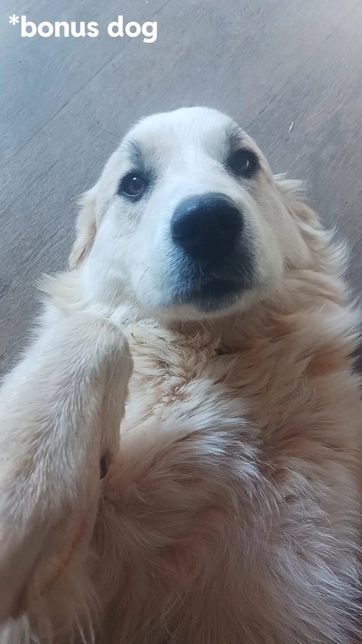 Need a real guide | Scrolller