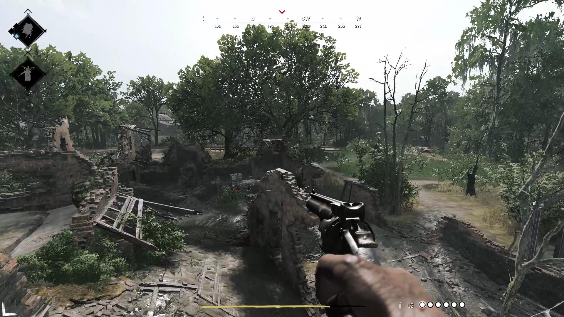 Spot the Felis | Scrolller