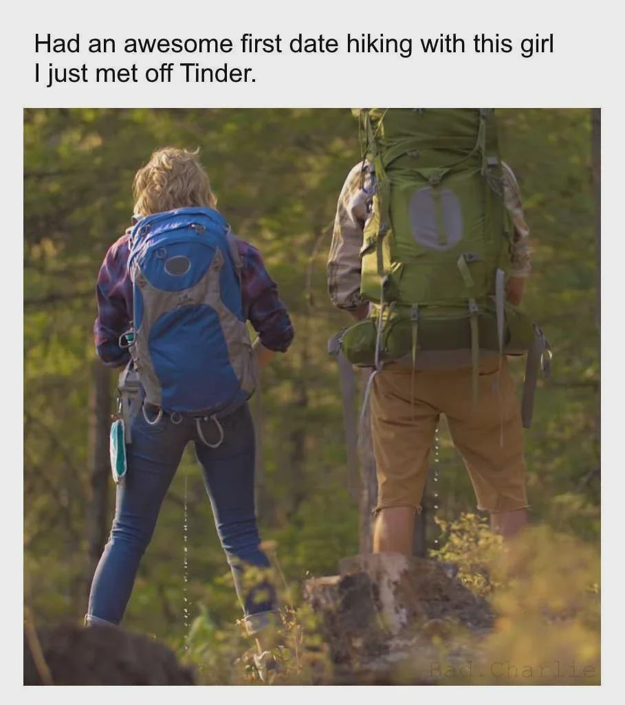 Companionship Among the Trees | Scrolller