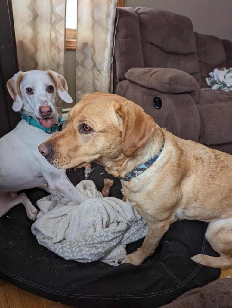 "Did you say something?" | Scrolller