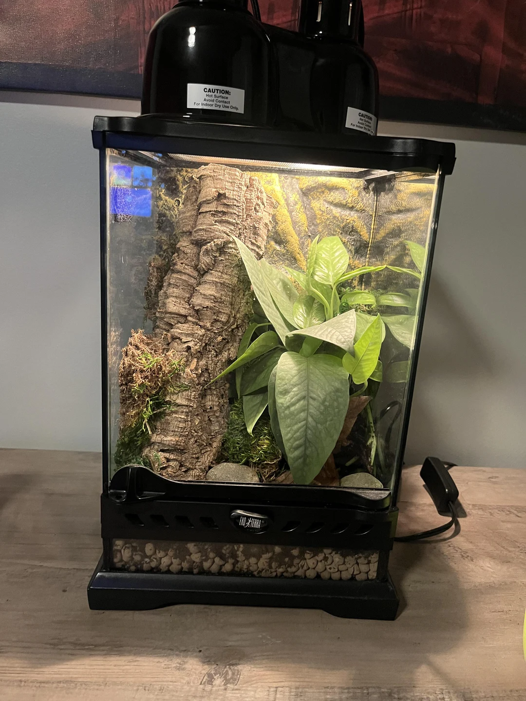 Little help please! | Scrolller