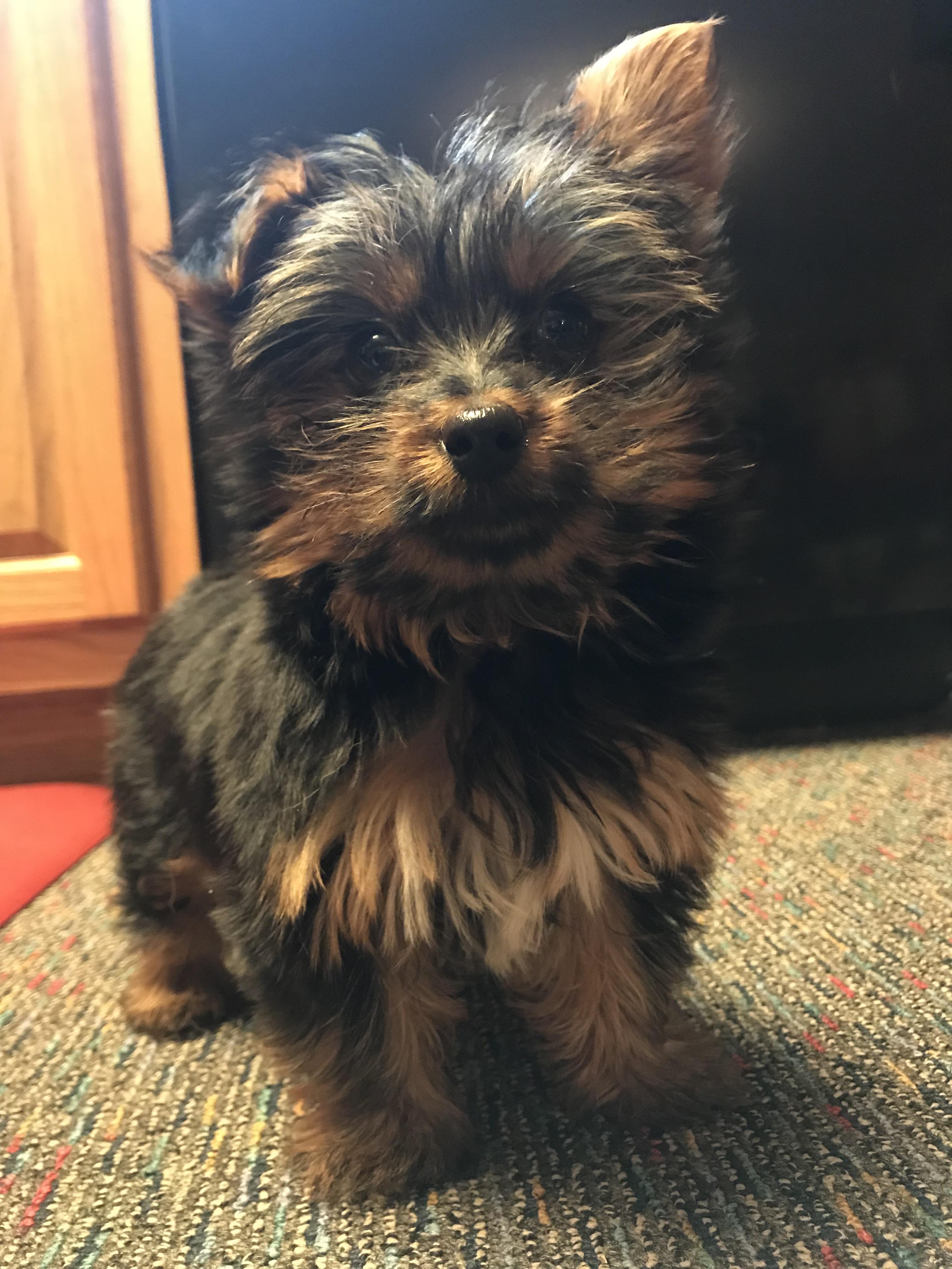 Bink the Stink | Scrolller