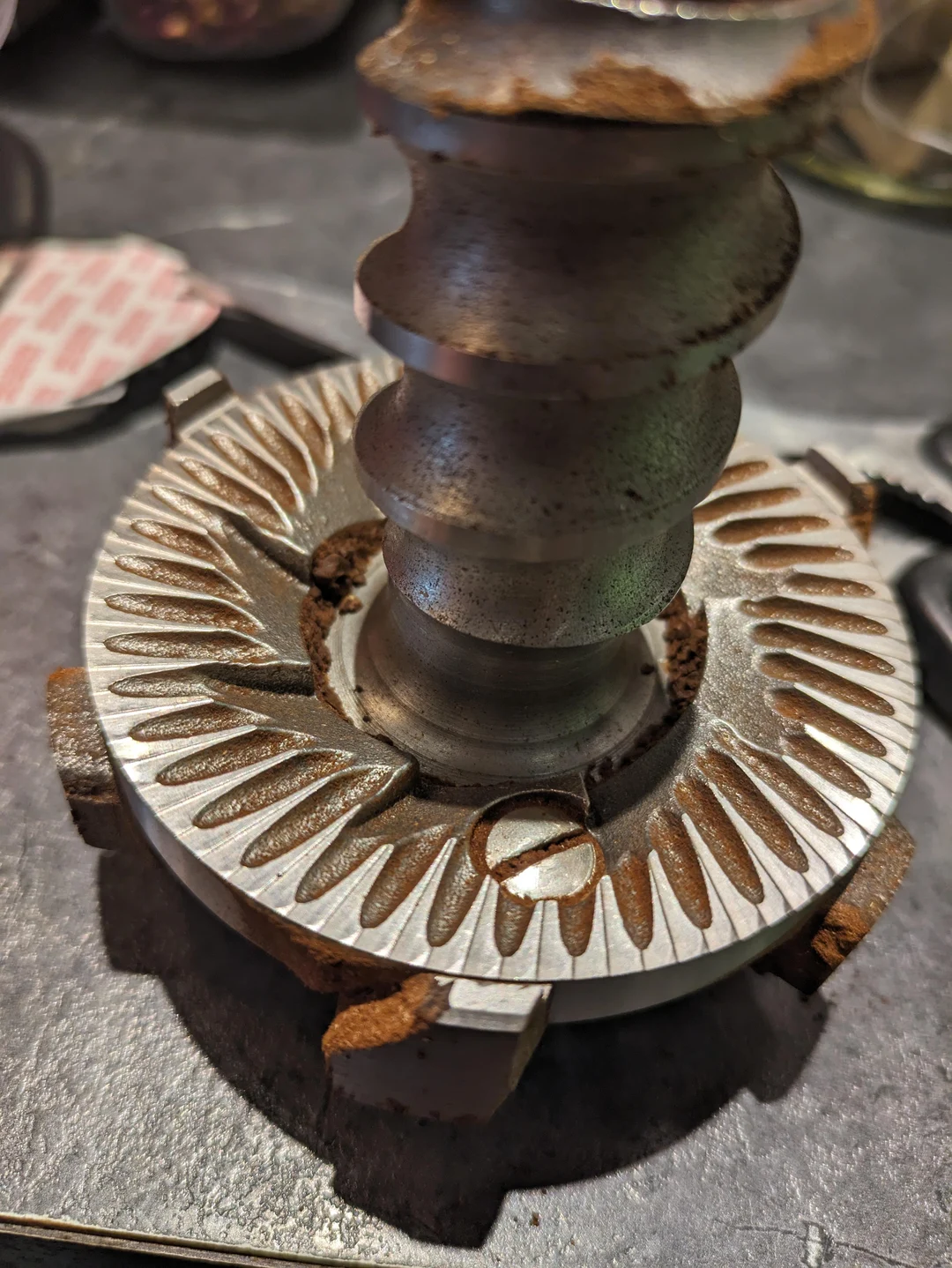 Bunn burr replacement? | Scrolller