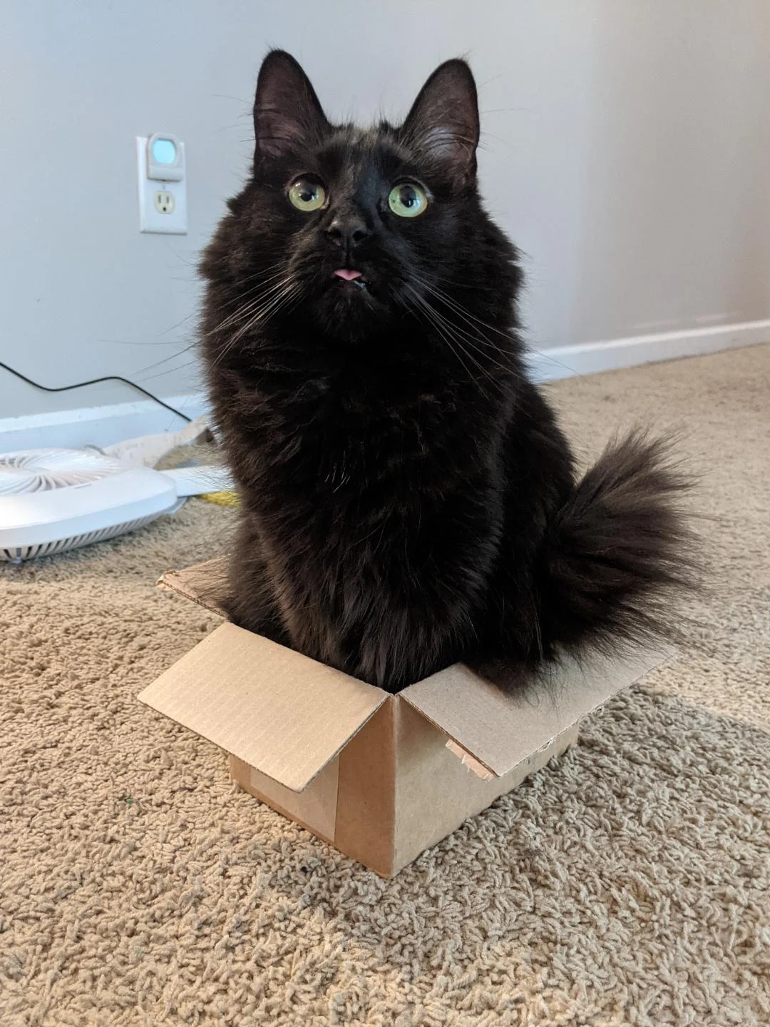 tight box | Scrolller