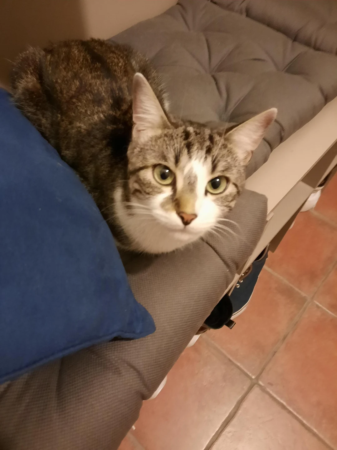 freshly baked loaf | Scrolller