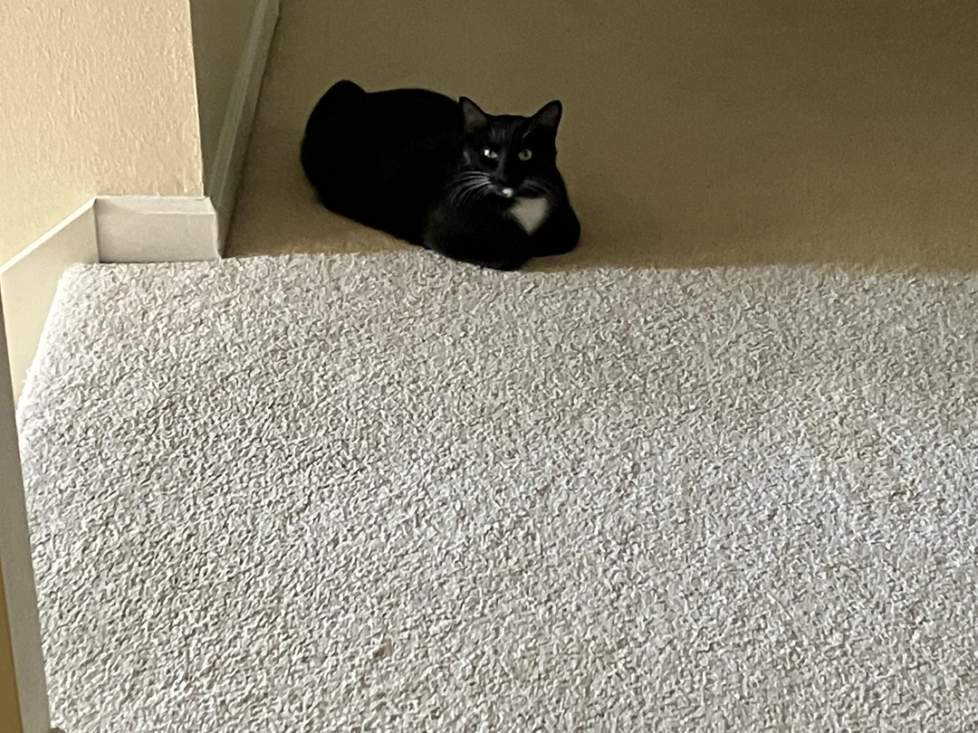 Floor Loaf | Scrolller