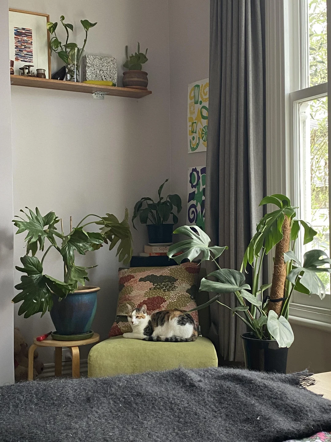 My little nook, & cat! | Scrolller