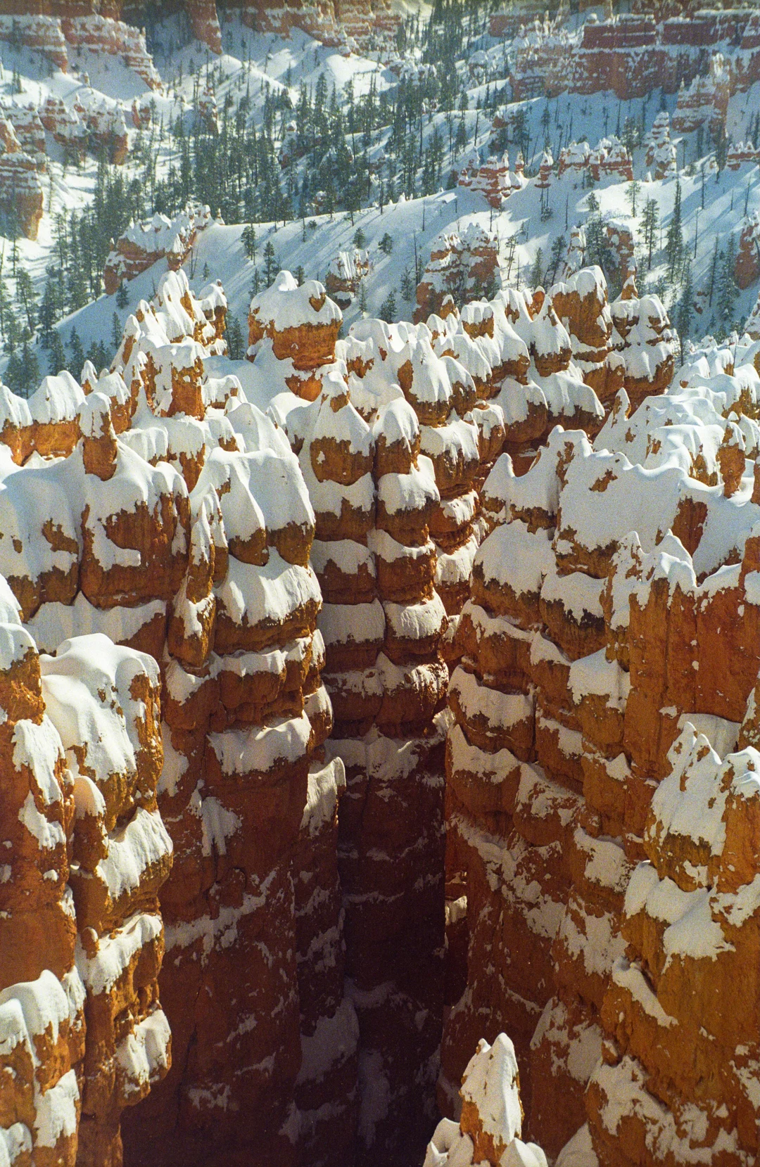 The Hoodoos of Bryce Canyon, revealed by snow | Scrolller