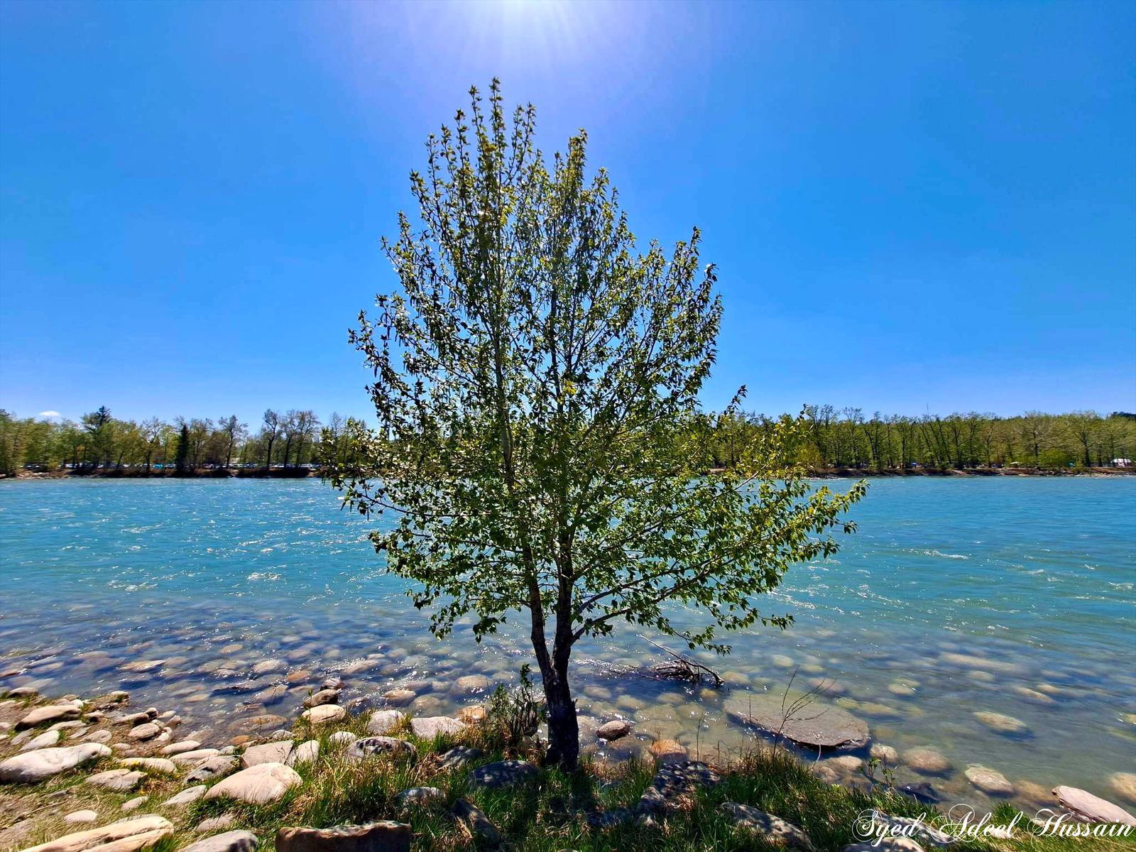 Bow River - Calgary, Alberta | Scrolller